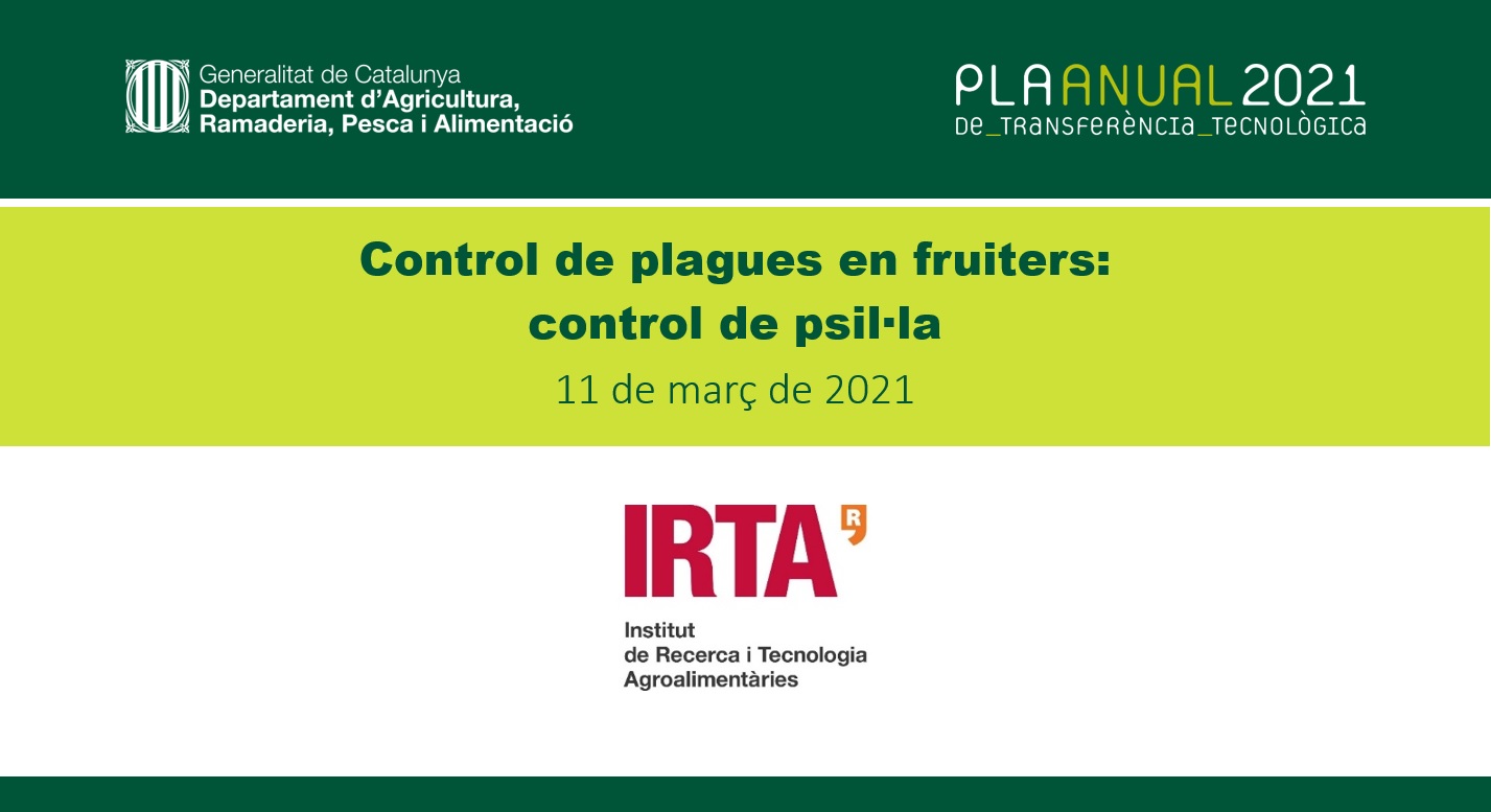 VIDEO Jornada control de plagas en frutales: control de psila - IRTA