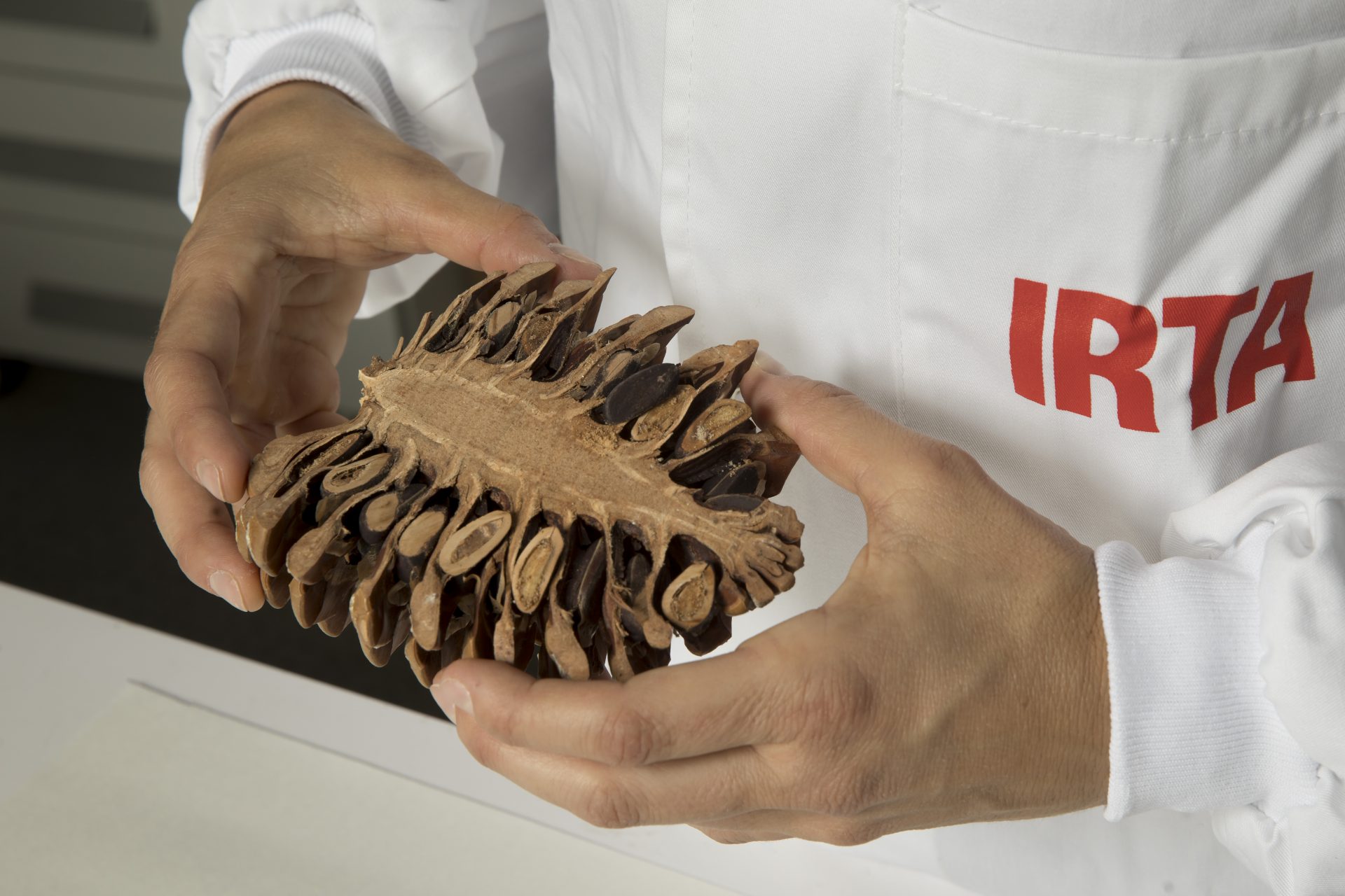 Summer fruit conference 2023 - IRTA